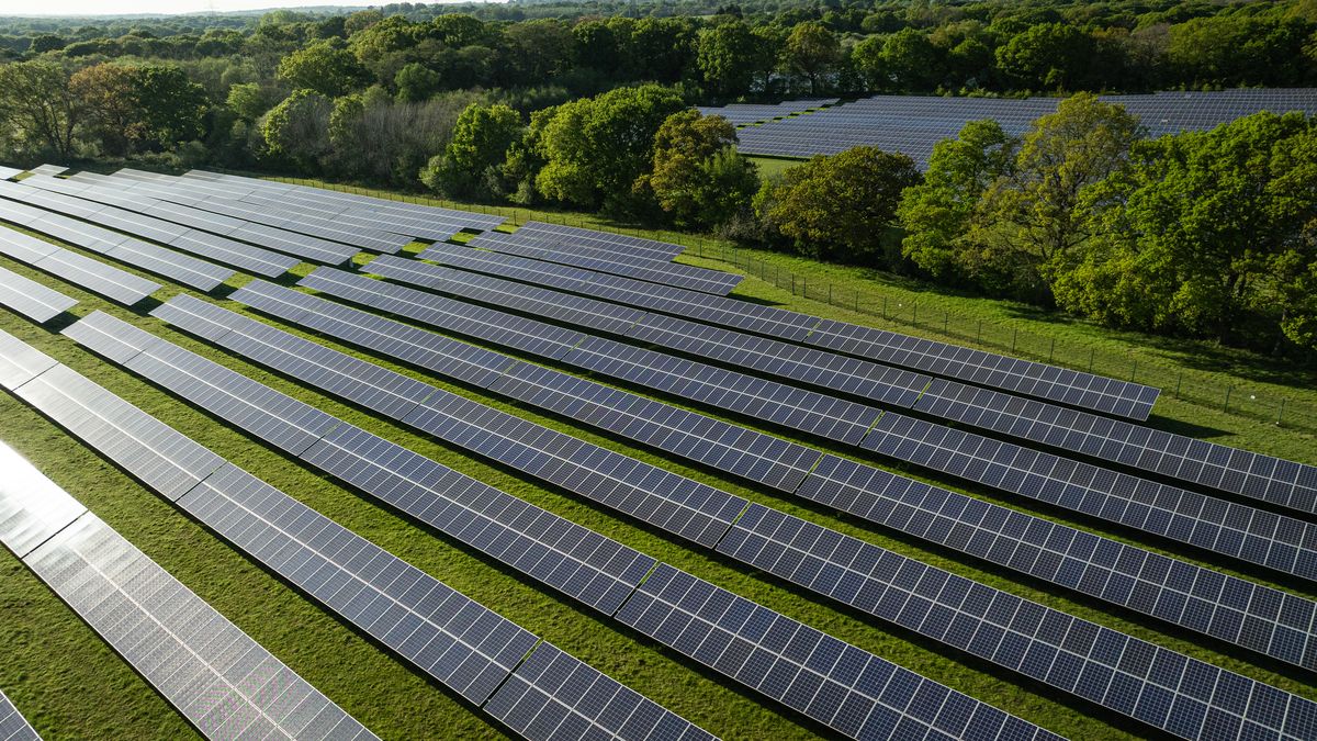 Engineering for a more resilient world: five leaders, one question ...