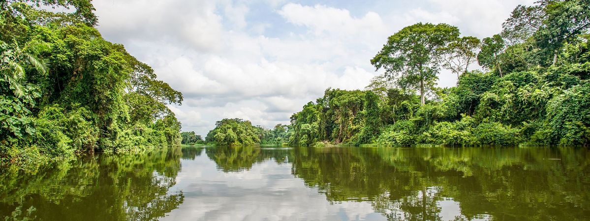 Natural Resource Management & Conservation: Dorsch Global DC Egypt