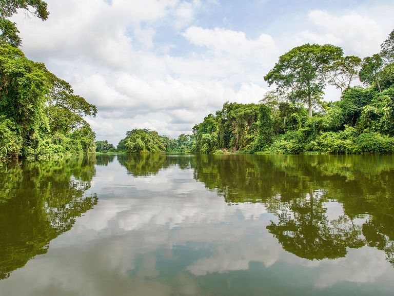 Natural Resource Management & Conservation: Dorsch Global DC Egypt